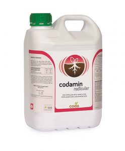 کدامین رادیکولار - Codamin Radicular | حاصل نوین